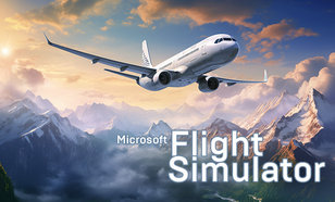 Microsoft Flight Simulator vkplay